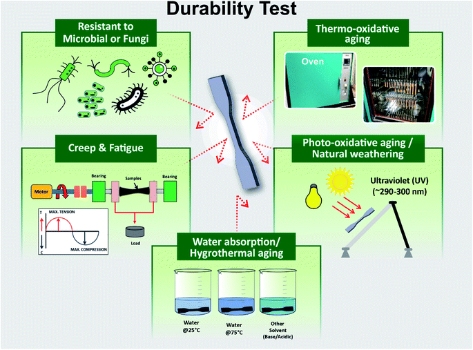 Studies on durability of sustainable biobased composites: a review ...