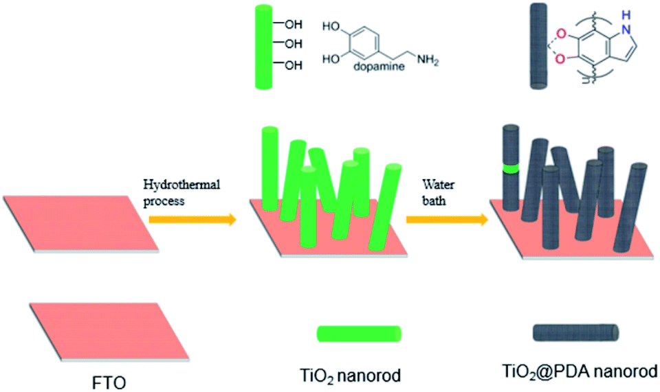 Constructing a TiO 2 /PDA core/shell nanorod array electrode as a highly sensitive and stable ...