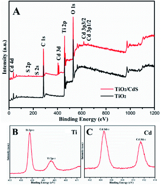 Controllable growth of three-dimensional CdS nanoparticles on TiO 2 ...