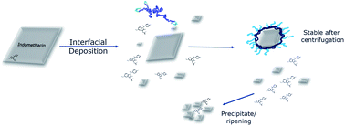 Nanoformulation-by-design: an experimental and molecular dynamics study ...
