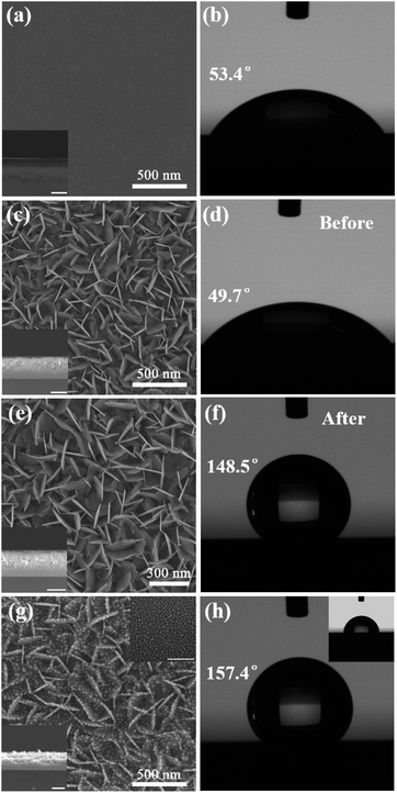 Ag@BiOCl super-hydrophobic nanostructure for enhancing SERS detection ...