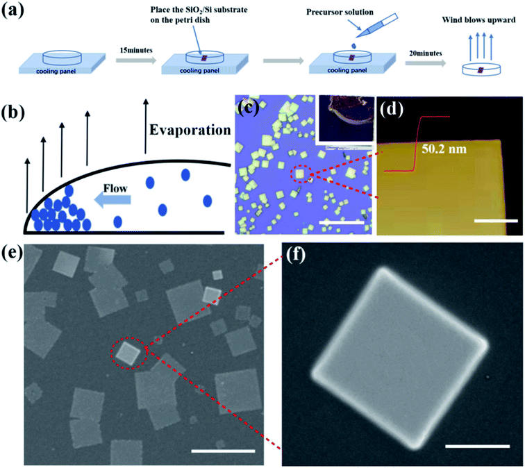 Facile synthesis of a dual-phase CsPbBr 3 –CsPb 2 Br 5 single crystal ...