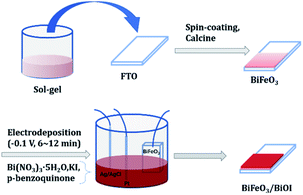 Preparation and photoelectrochemical properties of BiFeO 3 /BiOI ...