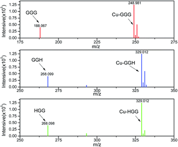 Copper–tripeptides (cuzymes) with peroxidase-mimetic activity - RSC ...