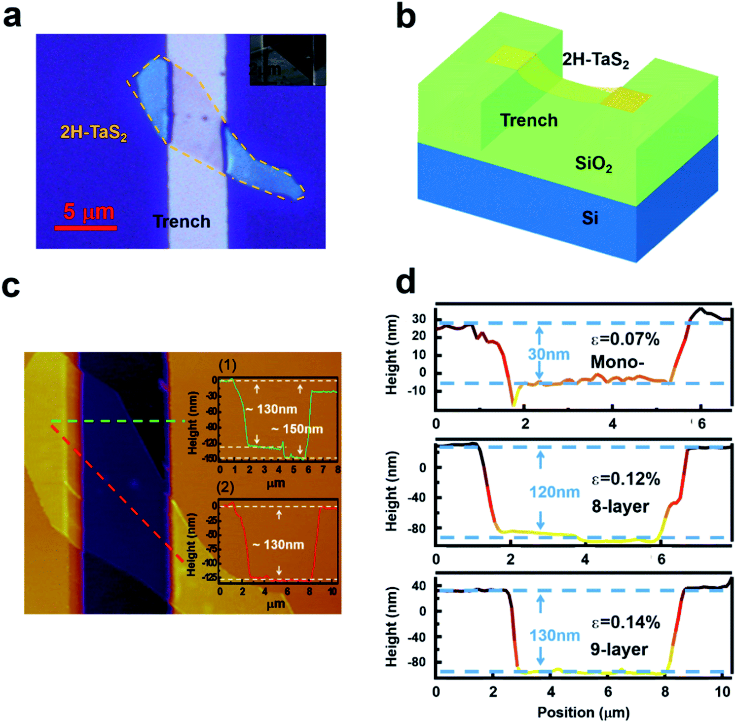 Strain engineering and lattice vibration manipulation of atomically ...