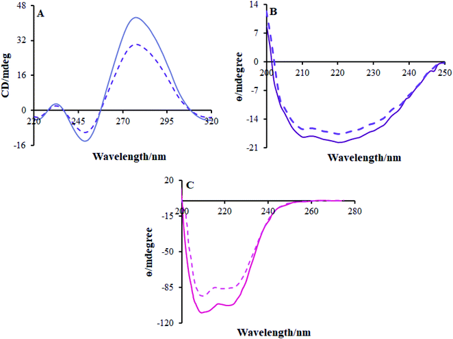The synthesis, characterization, DNA/BSA/HSA interactions, molecular ...