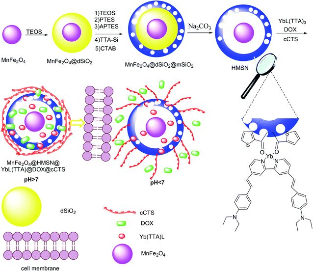 Rational design of yolk–shell nanostructures for drug delivery - RSC ...