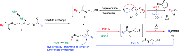 Disulfide based prodrugs for cancer therapy - RSC Advances (RSC ...