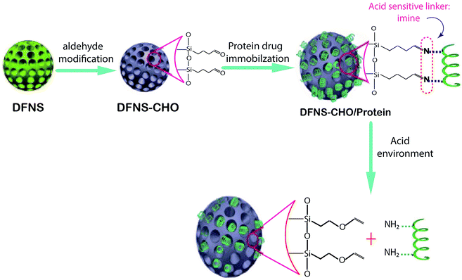 Biomedical applications of dendritic fibrous nanosilica (DFNS): recent ...