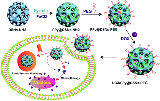 Biomedical applications of dendritic fibrous nanosilica (DFNS): recent ...