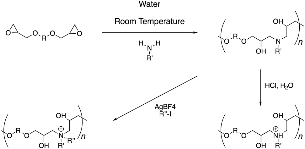 Antibacterial properties of main-chain cationic polymers prepared ...