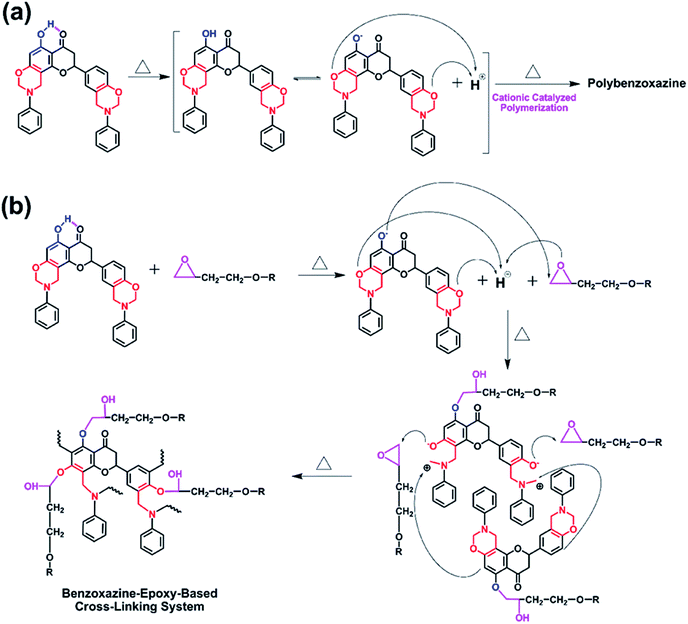 A naringenin-based benzoxazine with an intramolecular hydrogen bond as ...