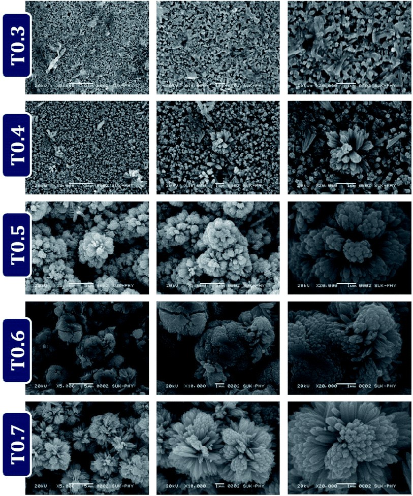 Studies on interstitial carbon doping from a Ti precursor in a ...