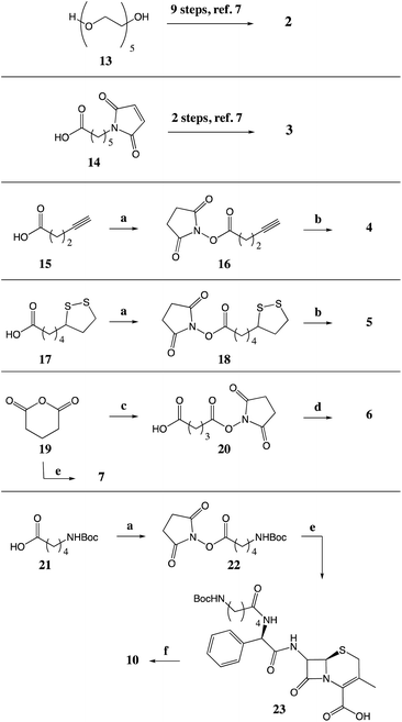 Synthesis and biochemical evaluation of cephalosporin analogues ...