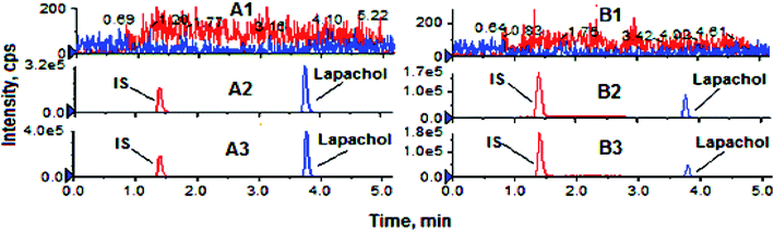 Development of long-circulating lapachol nanoparticles: formation ...