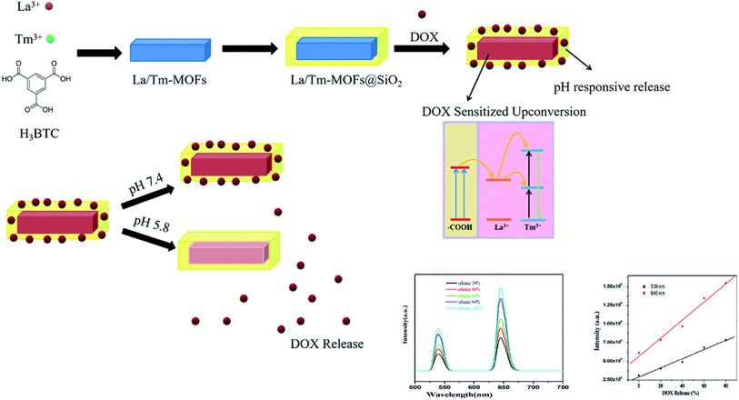 DOX sensitized upconversion metal–organic frameworks for the pH ...