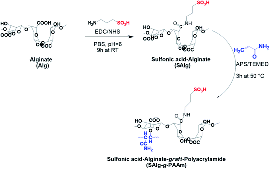 Sulfonation of alginate grafted with polyacrylamide as a potential ...