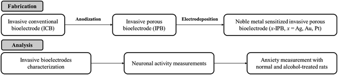 Noble metal sensitized invasive porous bioelectrodes: advanced medical ...