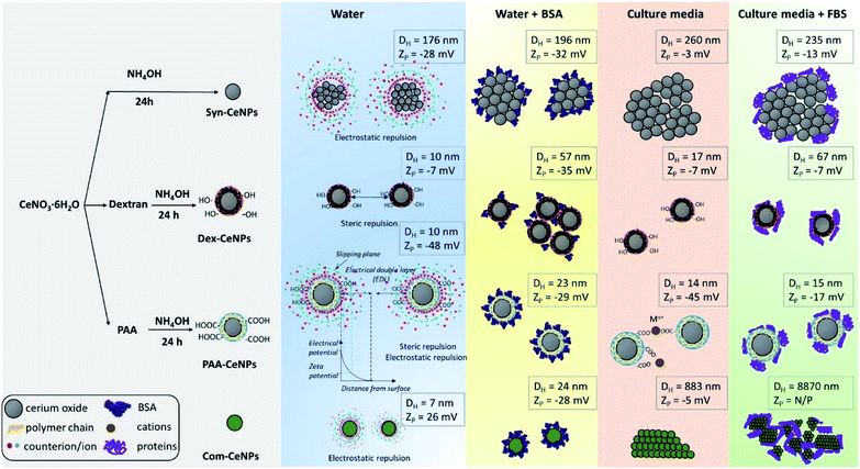 Colloidal stability and catalytic activity of cerium oxide ...