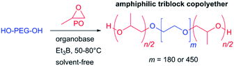 A simplified approach for the metal-free polymerization of propylene ...