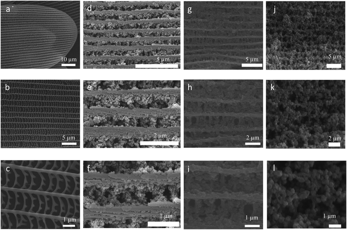 Zirconium-based metal–organic framework gels for selective luminescence ...