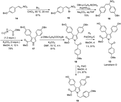 Synthesis of lamellarin R, lukianol A, lamellarin O and their analogues ...