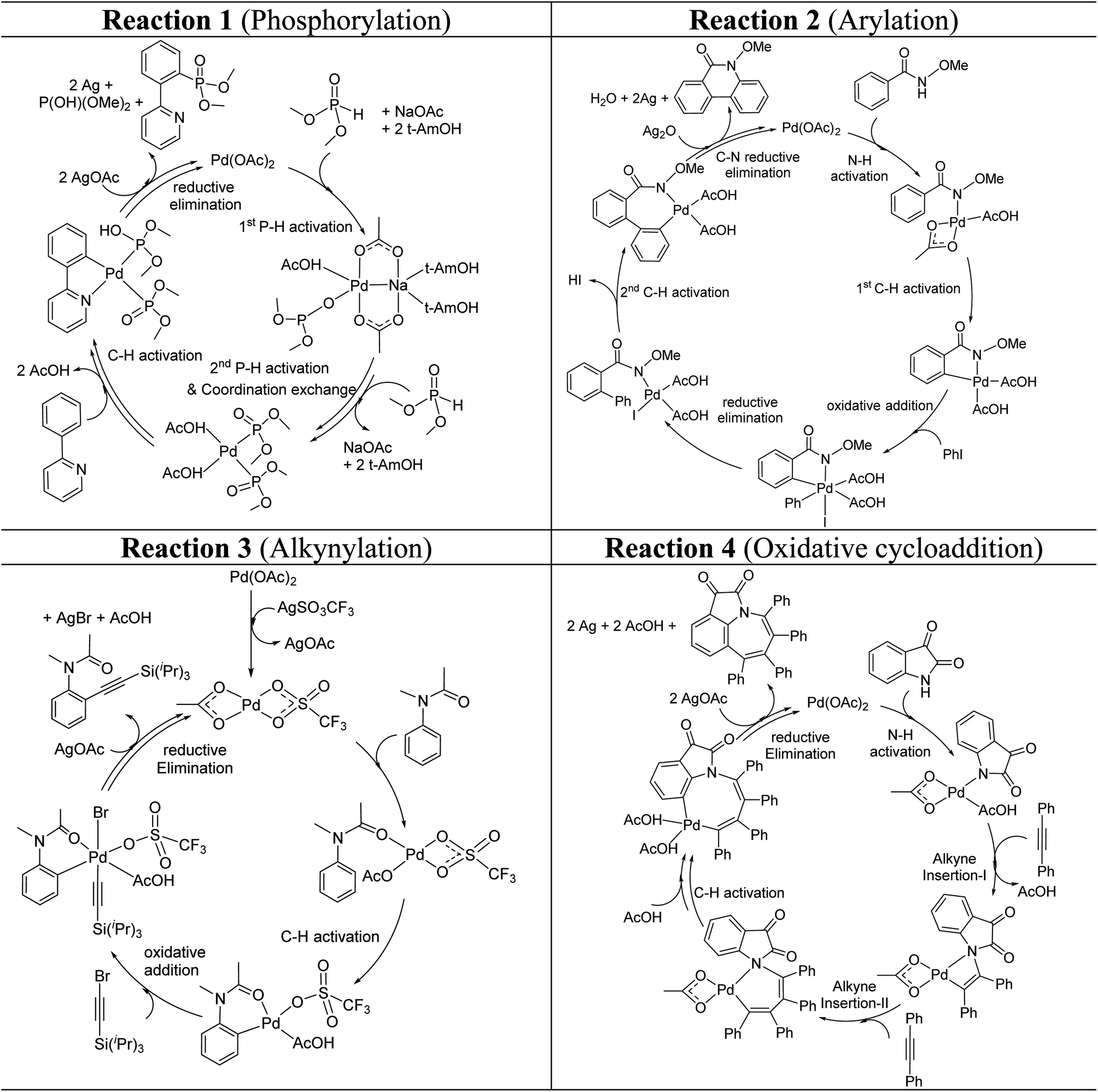 Is silver a mere terminal oxidant in palladium catalyzed C–H bond ...