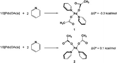 Reaction mechanism, norbornene and ligand effects, and origins of meta ...