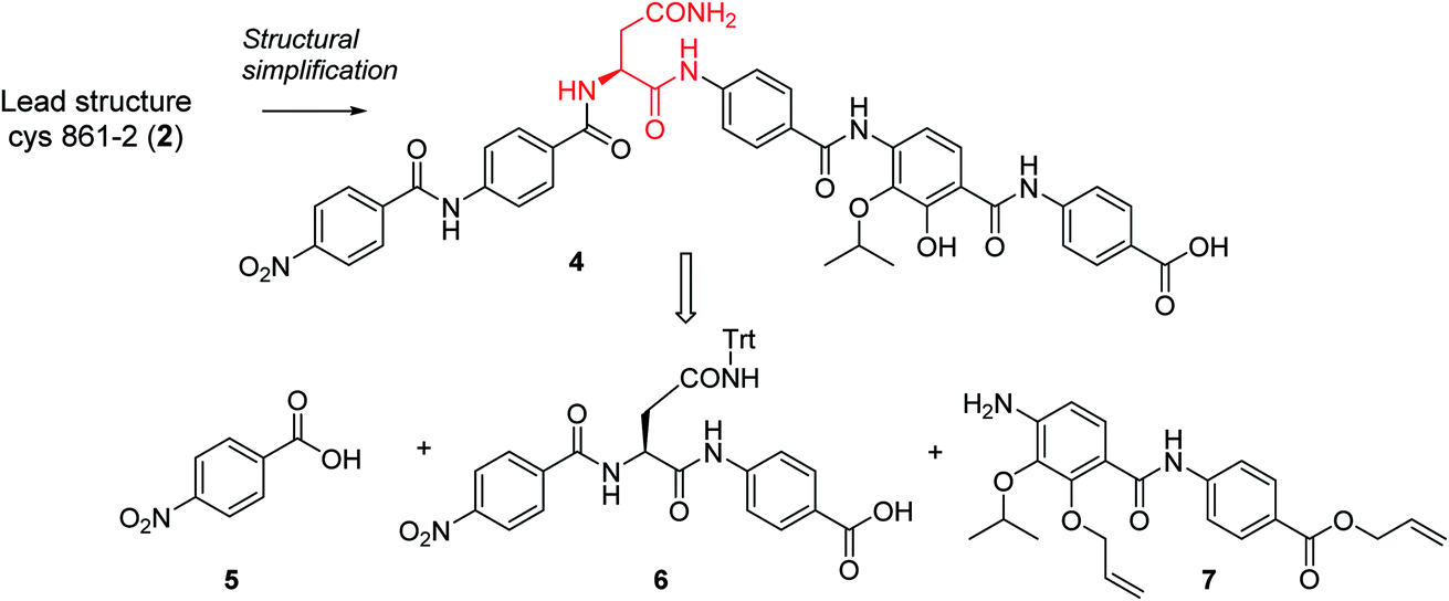 Synthetic studies of cystobactamids as antibiotics and bacterial ...