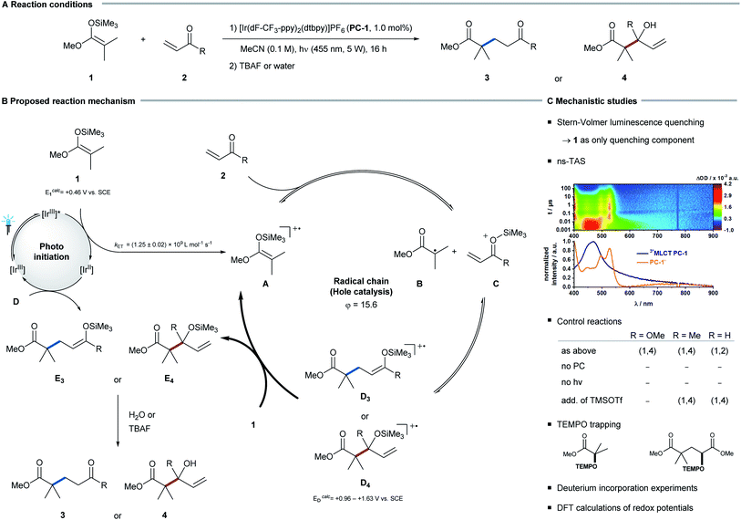 Chain propagation determines the chemo- and regioselectivity of alkyl ...