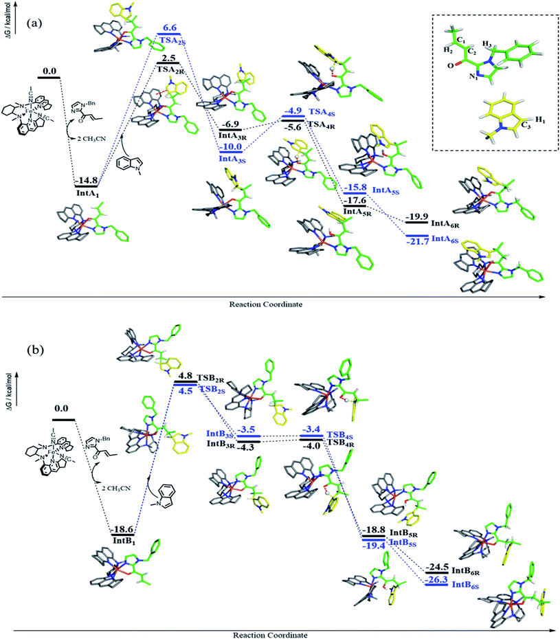 Chiral cis -iron( ii ) complexes with metal- and ligand-centered ...