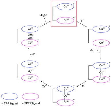 Significantly improved electrocatalytic oxygen reduction by an ...