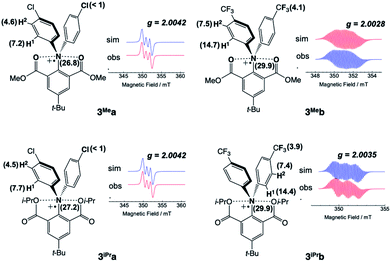 Synthesis and properties of hypervalent electron-rich pentacoordinate ...