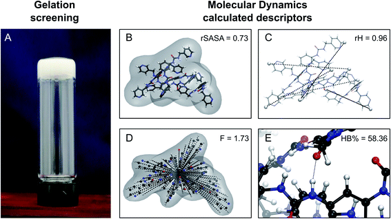 Molecular dynamics based descriptors for predicting supramolecular ...