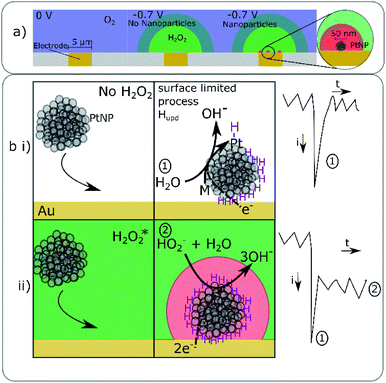Hydrogen peroxide reduction on single platinum nanoparticles - Chemical ...