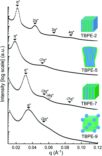 Triblock polyester thermoplastic elastomers with semi-aromatic polymer ...