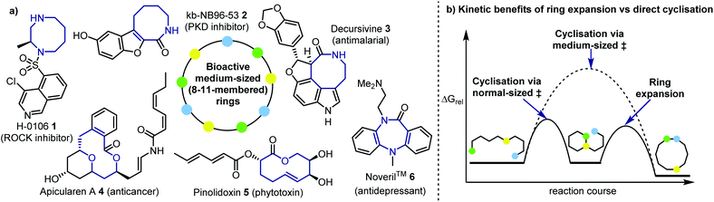 A happy medium: the synthesis of medicinally important medium-sized ...