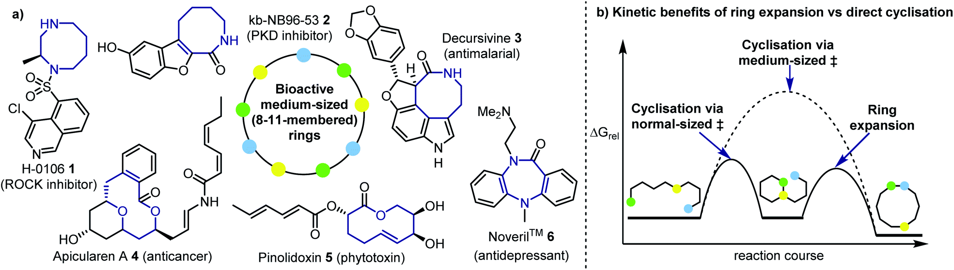 A happy medium: the synthesis of medicinally important medium-sized ...