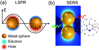 Surface-enhanced Raman spectroscopy: benefits, trade-offs and future ...
