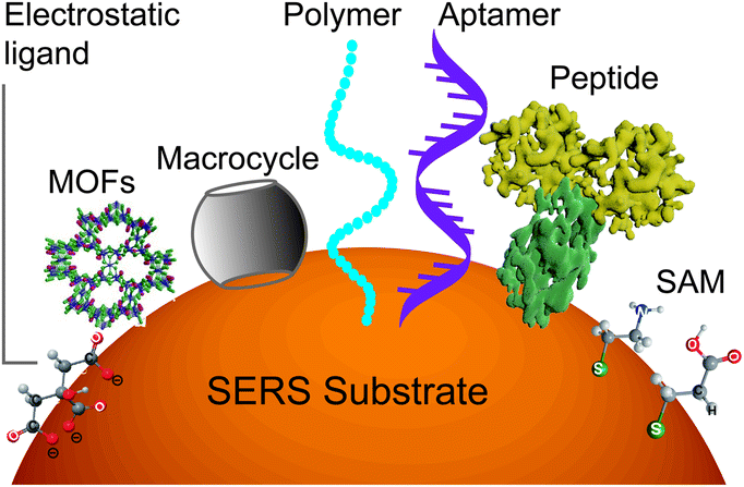 Surface-enhanced Raman spectroscopy: benefits, trade-offs and future ...