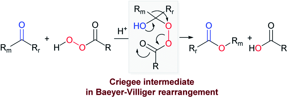 Synthesis of unstrained Criegee intermediates: inverse α-effect and ...