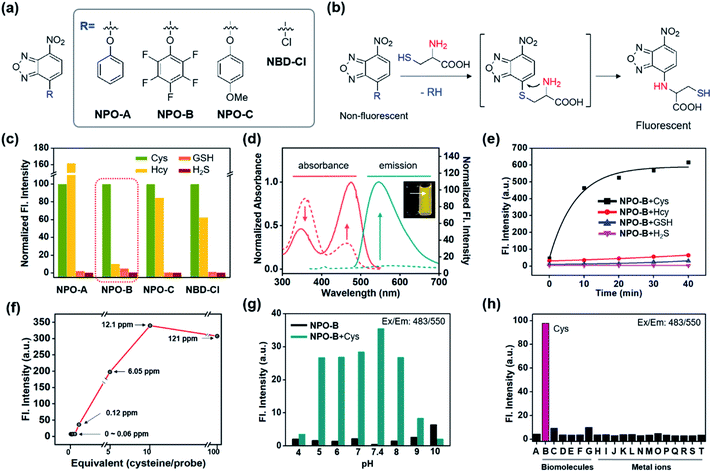 Penta-fluorophenol: a Smiles rearrangement-inspired cysteine-selective ...