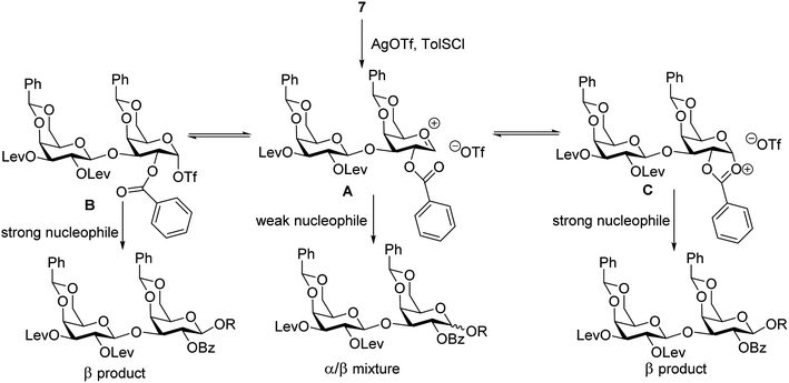 Chemical synthesis of human syndecan-4 glycopeptide bearing O-, N ...