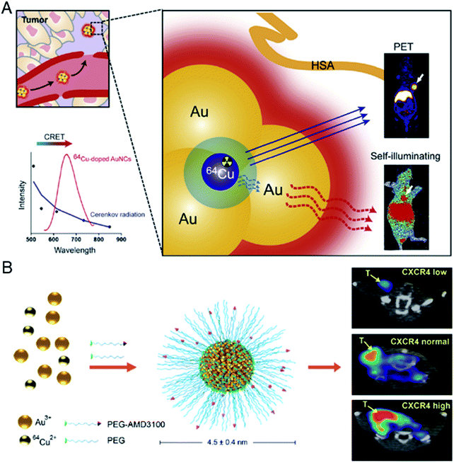 Peptide and protein modified metal clusters for cancer diagnostics ...