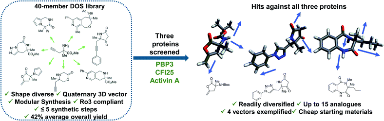 Demonstration of the utility of DOS-derived fragment libraries for ...