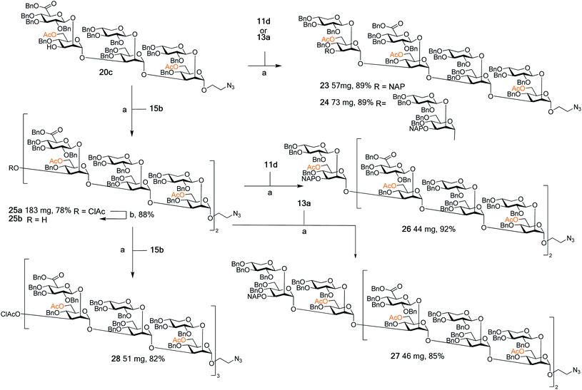A synthetic glycan array containing Cryptococcus neoformans ...