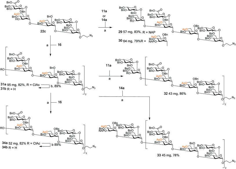 A synthetic glycan array containing Cryptococcus neoformans ...