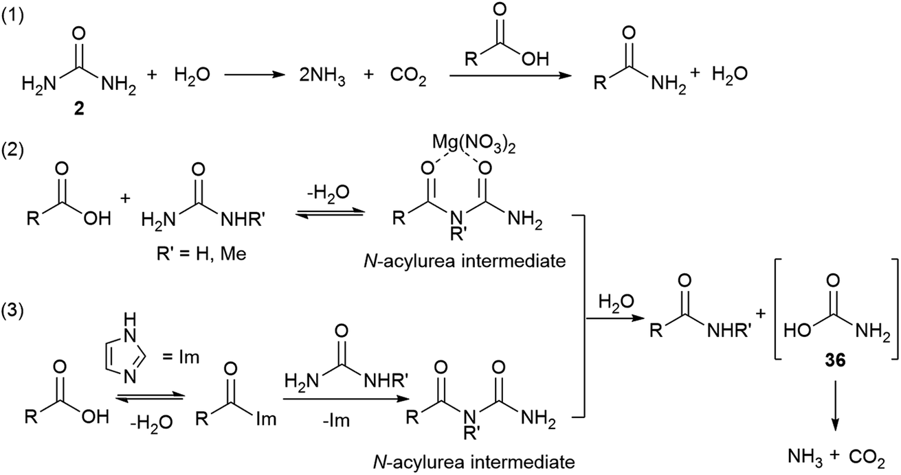 amide synthesis mechanism