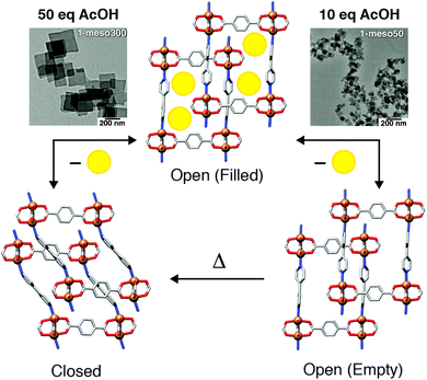 Modulated self-assembly of metal–organic frameworks - Chemical Science ...