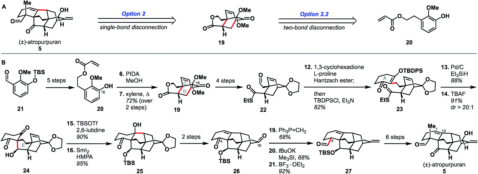 Retrosynthetic strategies and their impact on synthesis of arcutane ...